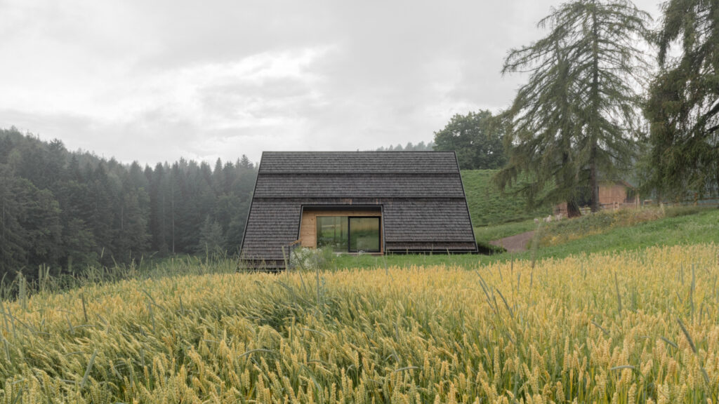Transition House – Revista PLOT